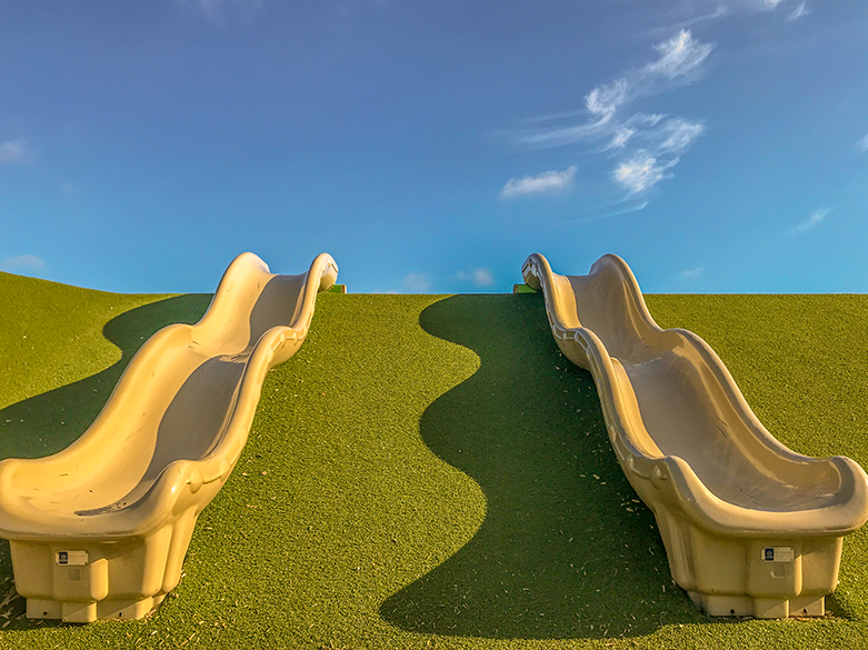 Slowing and Stopping the COVID Slide: Part 1 - Scientific Learning